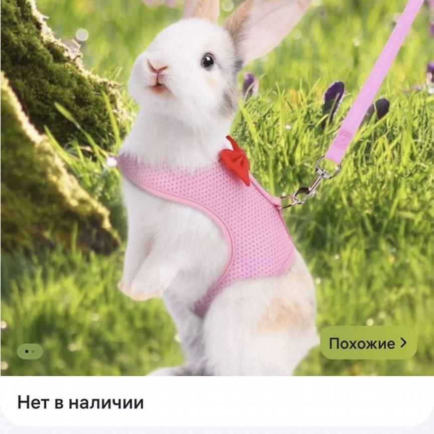 Шлейка поводок
