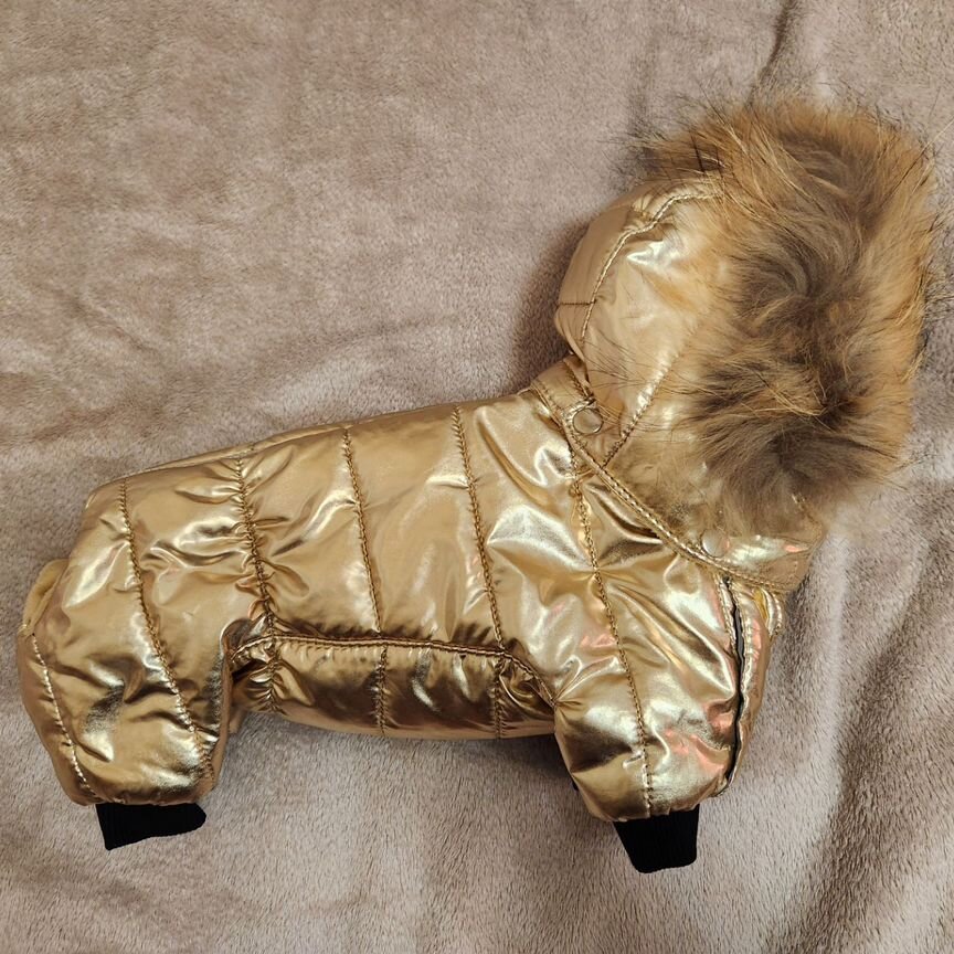 Зимний комбинезоны собаки