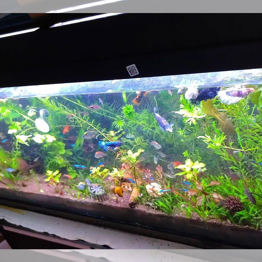 Продам аквариум с тумбой