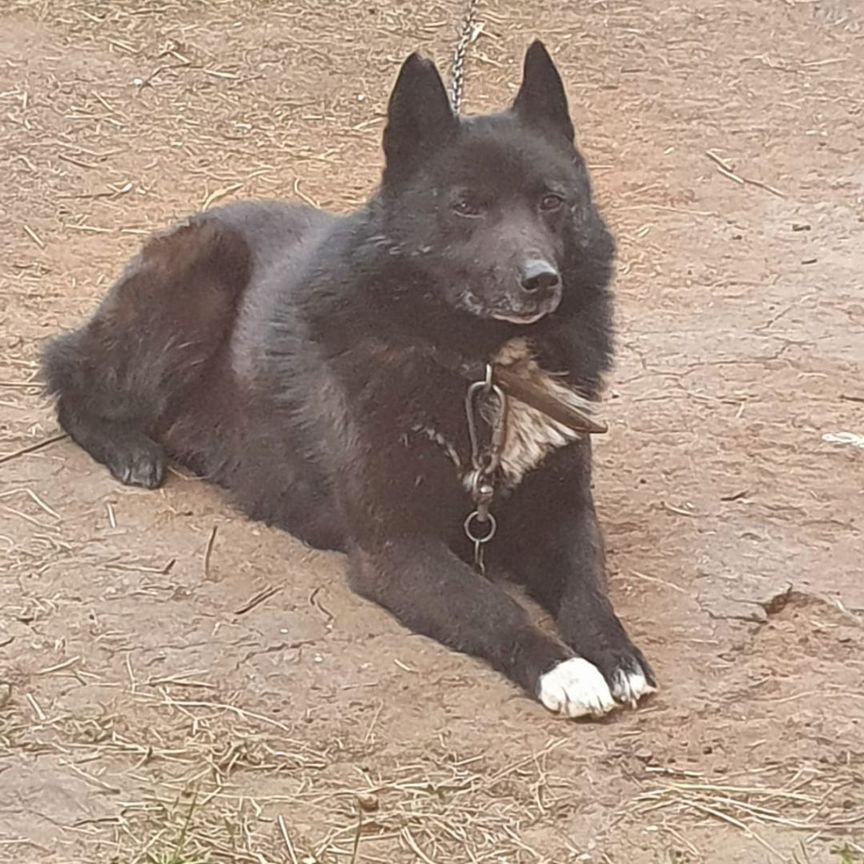 Кабель рел для вязки