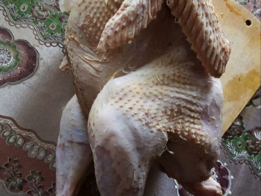 Индюки на мясо