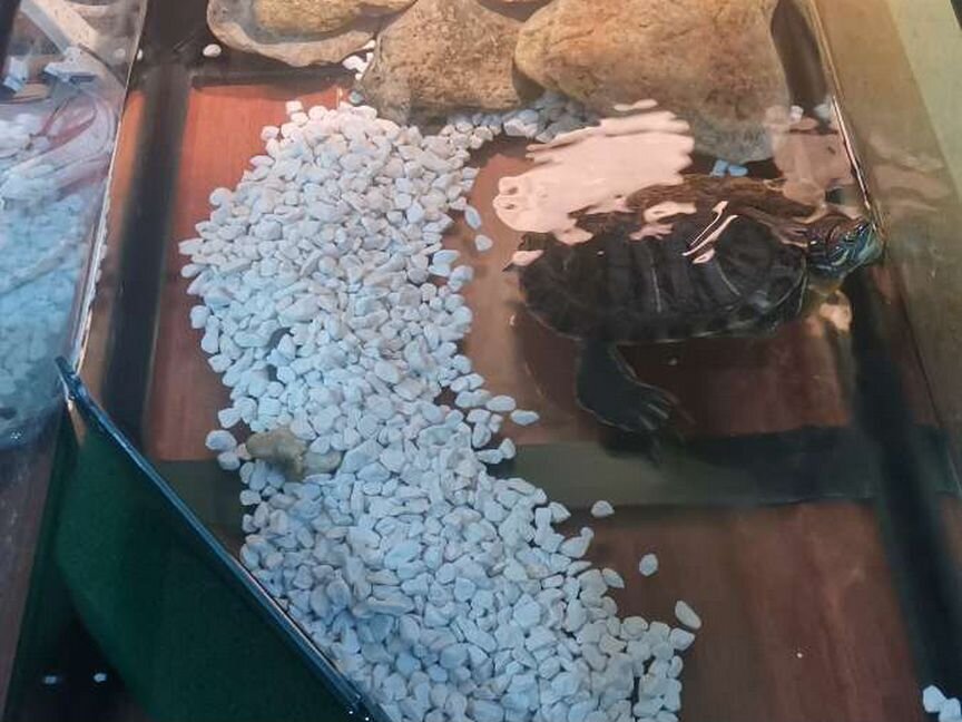 Террариум большой