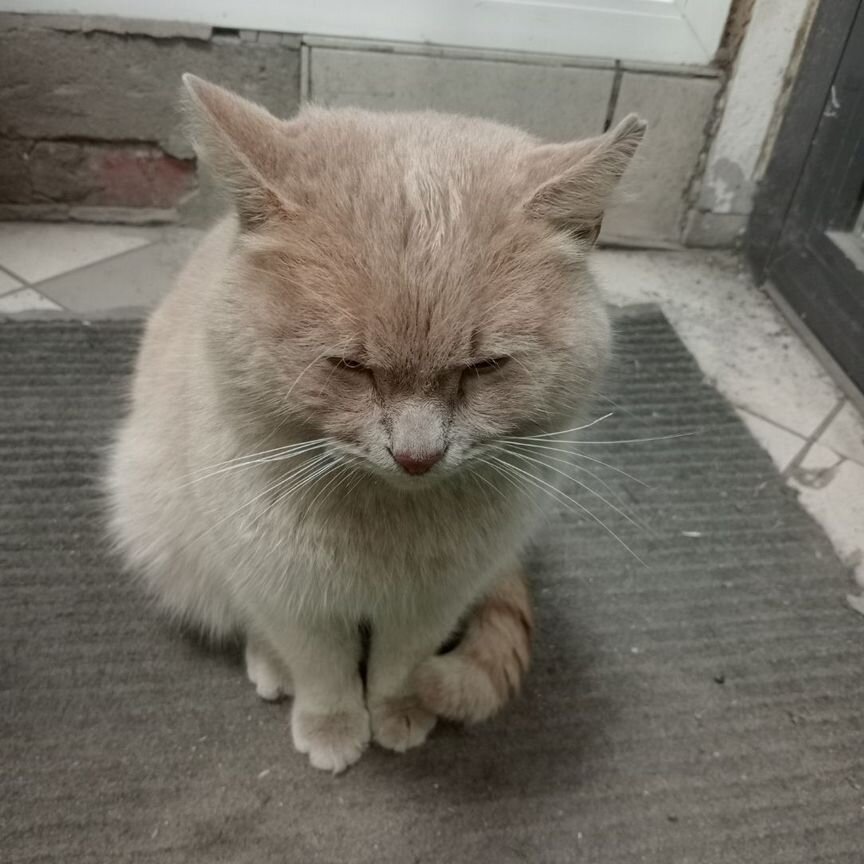 Кто потерял