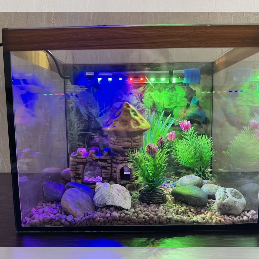 Аквариум для рыбок