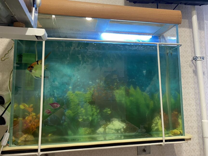 Настенный аквариум