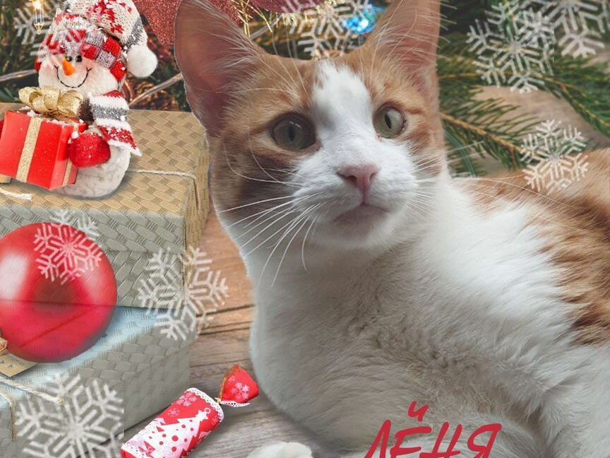 Большой добряк Лёня