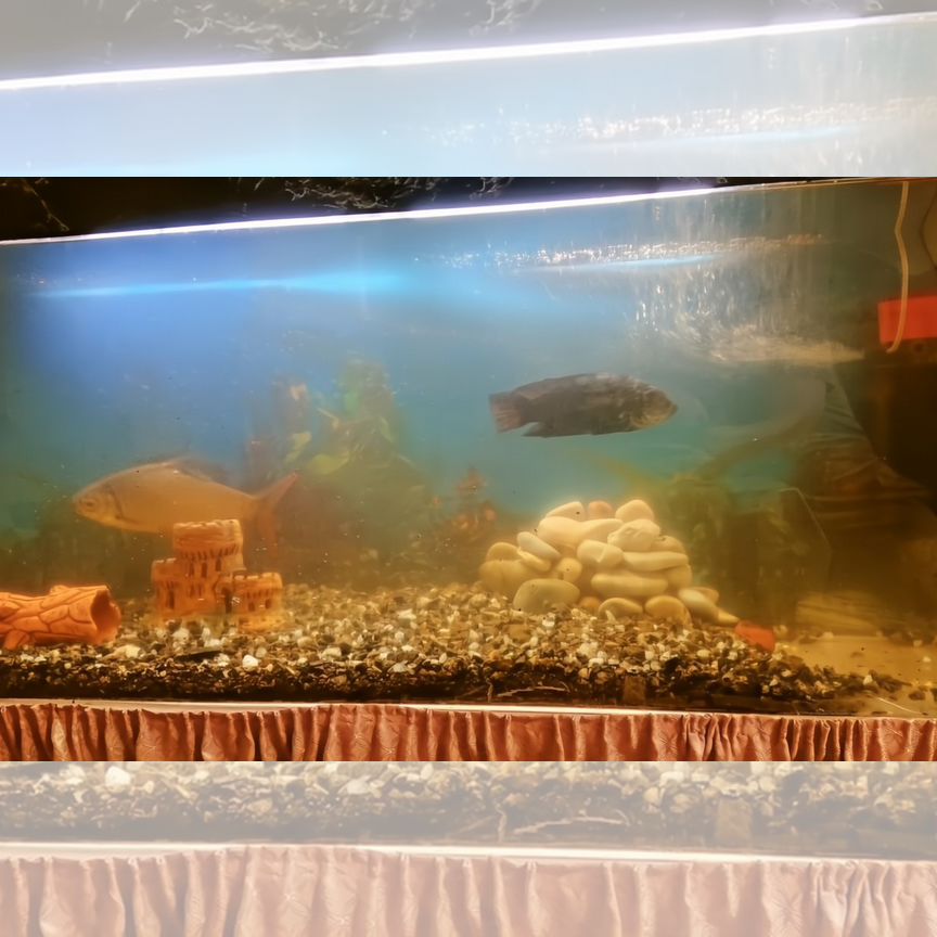 Аквариум 200 литров с тумбой