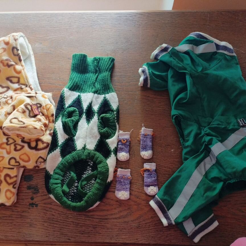 Одежда для собак