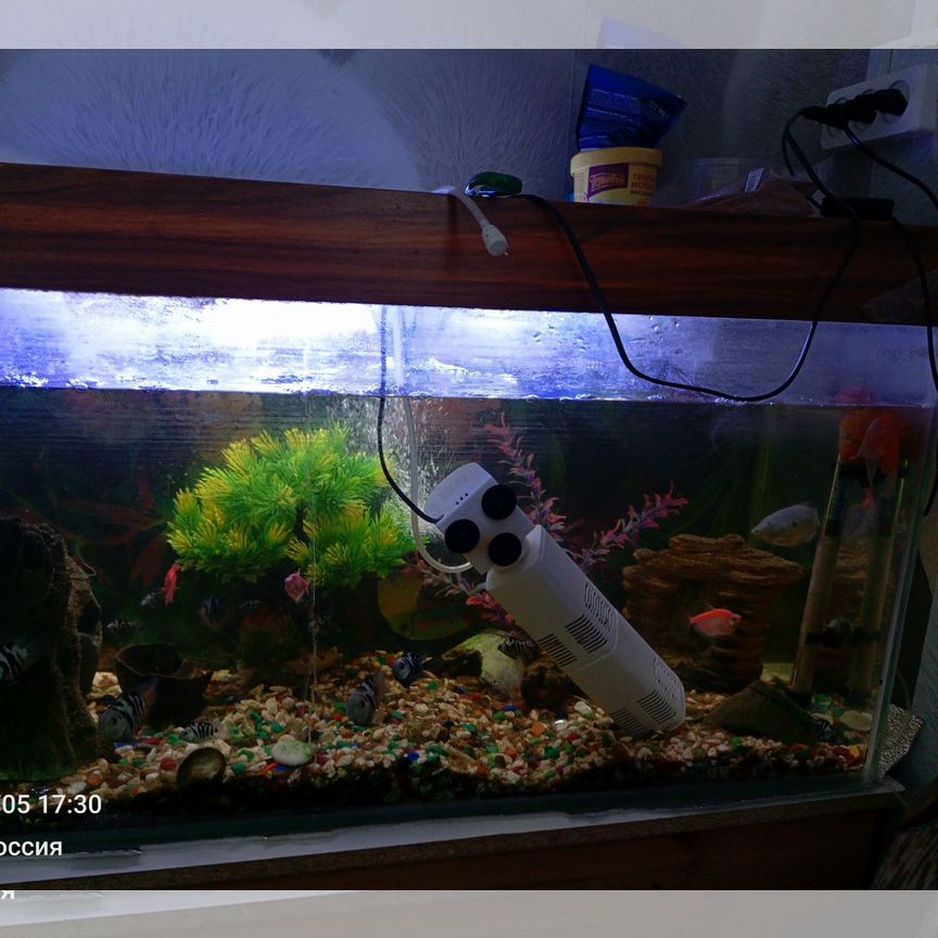 Аквариум