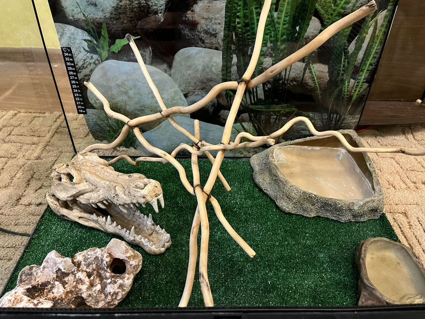 Террариум для рептилий хомяков бу