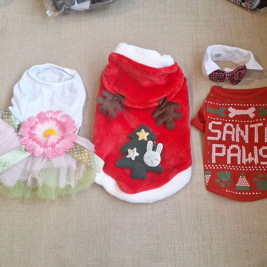 Праздничные наряды для собак