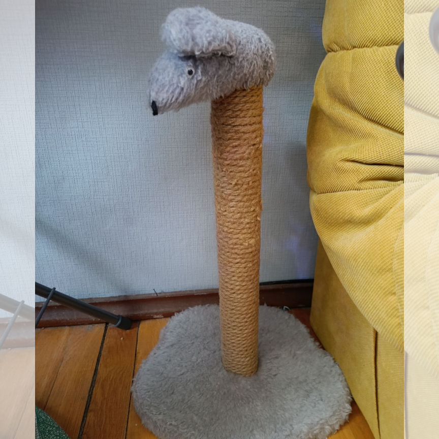 Когтеточка для котенка