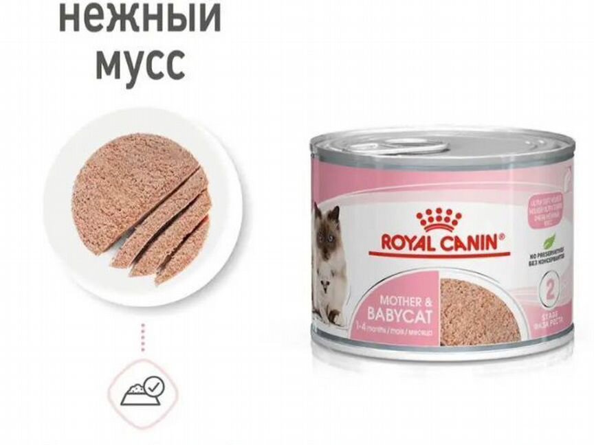 Корм для котят