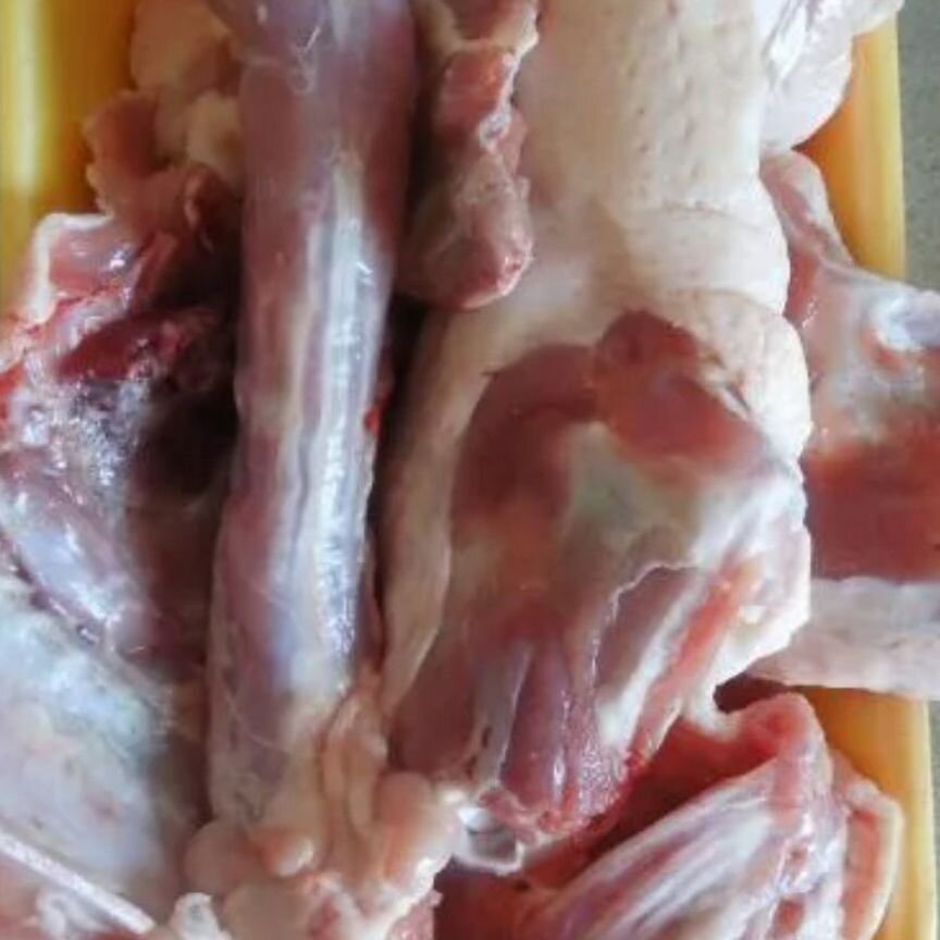 Кости (остов) утиные для собак