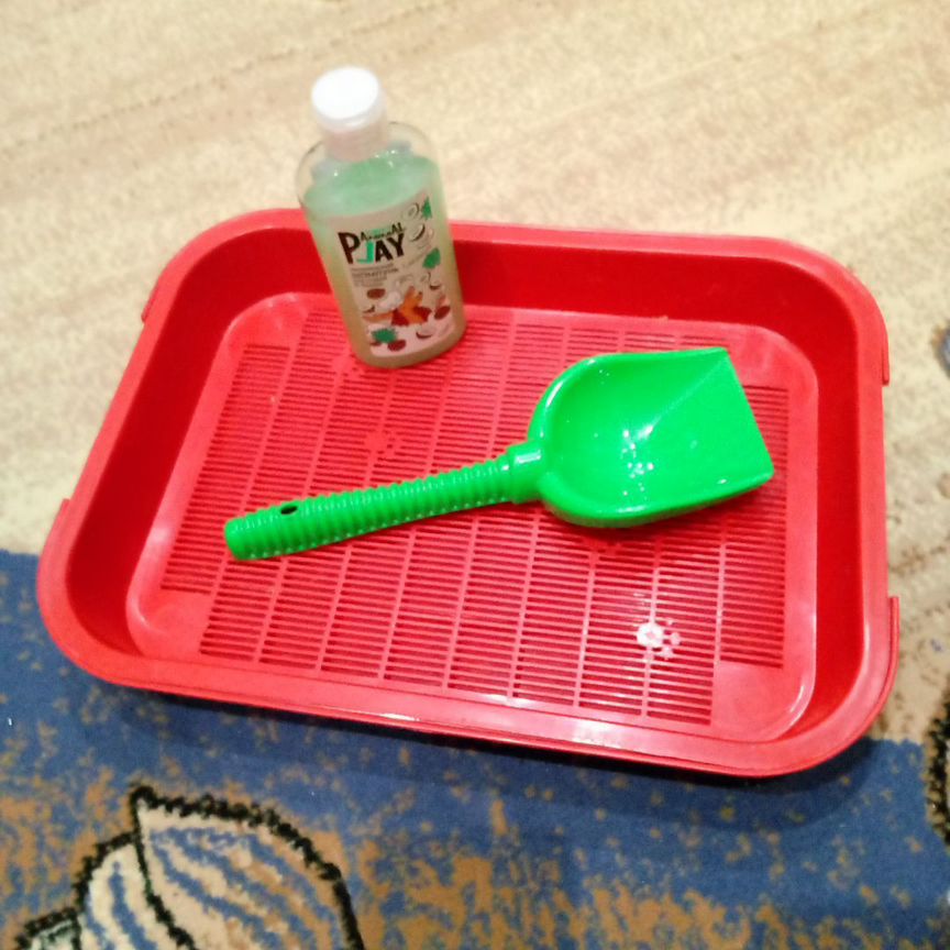 Лоток для кошек бесплатно