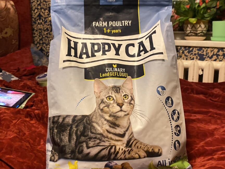 Корм для больших пород кошек happy cat