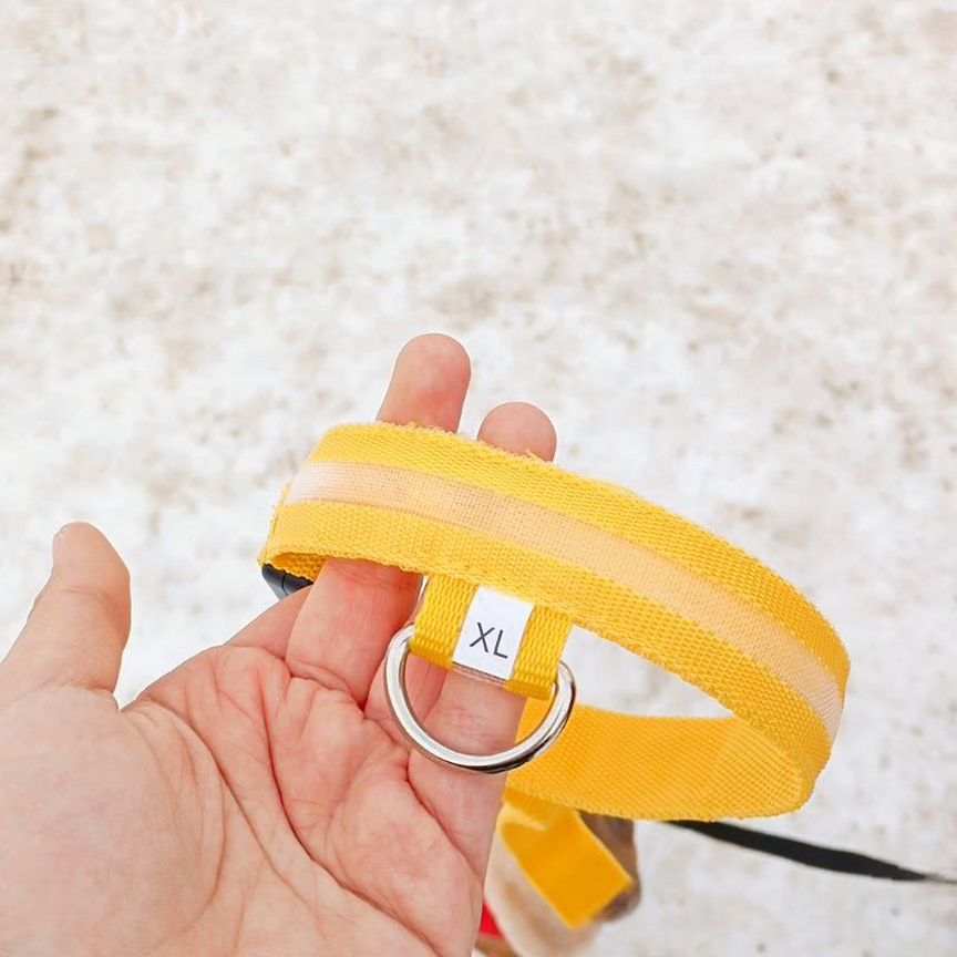 Ошейник с подсветкой