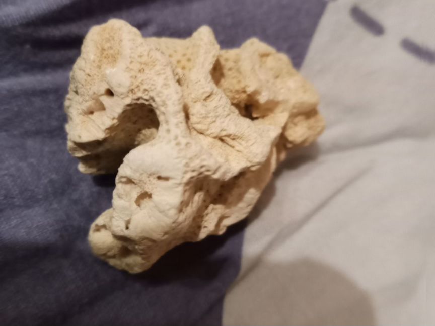 Морские коралл, камни для аква