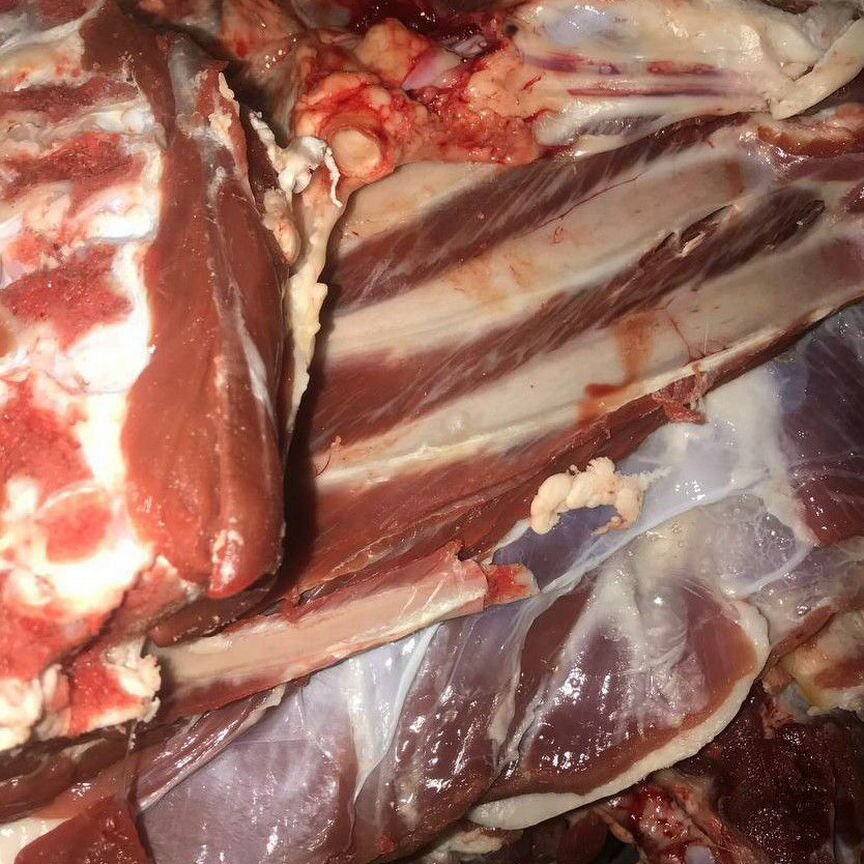 Мясо козла для животных