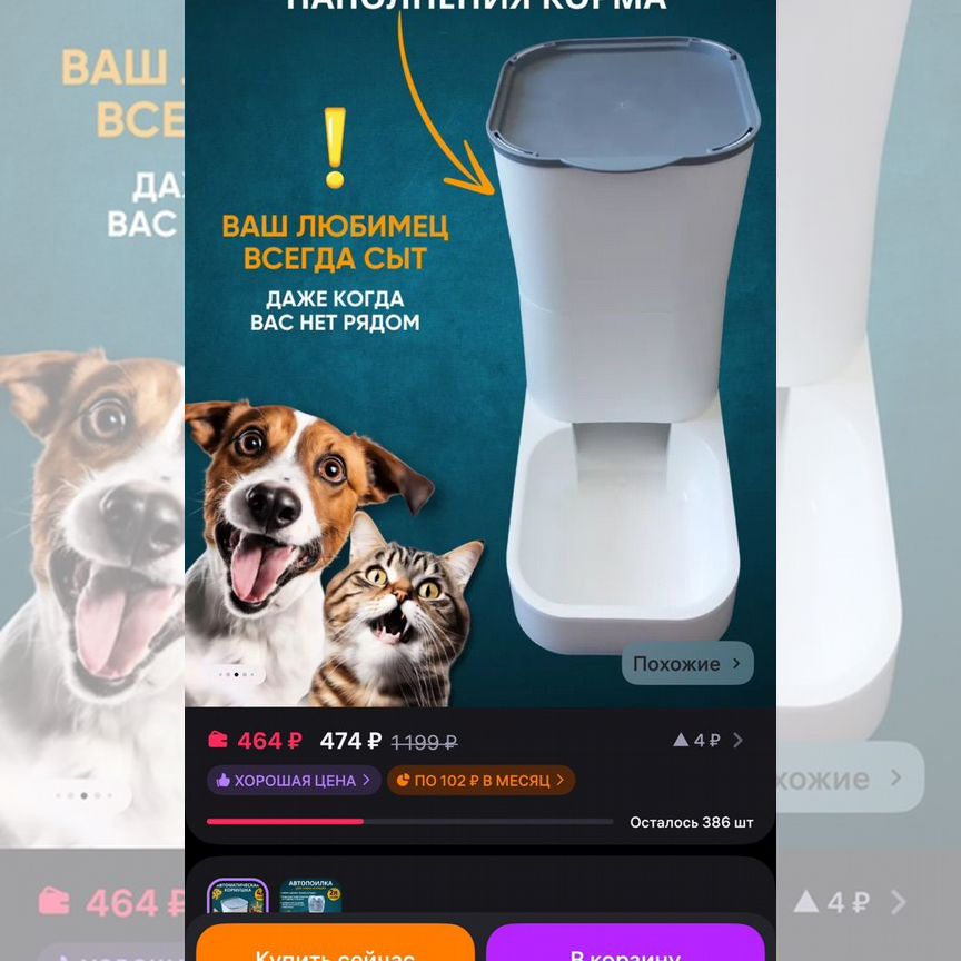 Автоматическая кормушка для кошек