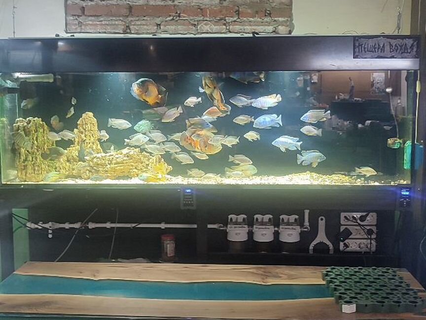 Аквариум 600 литров