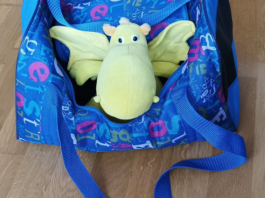 Сумка переноска для мелких животных