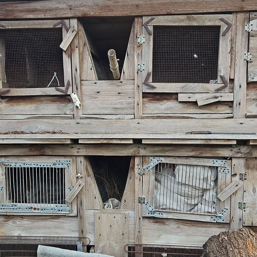 Клетки для кроликов бесплатно