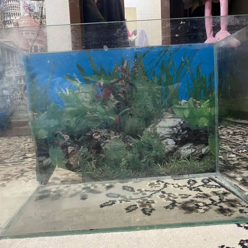 Аквариум б/у