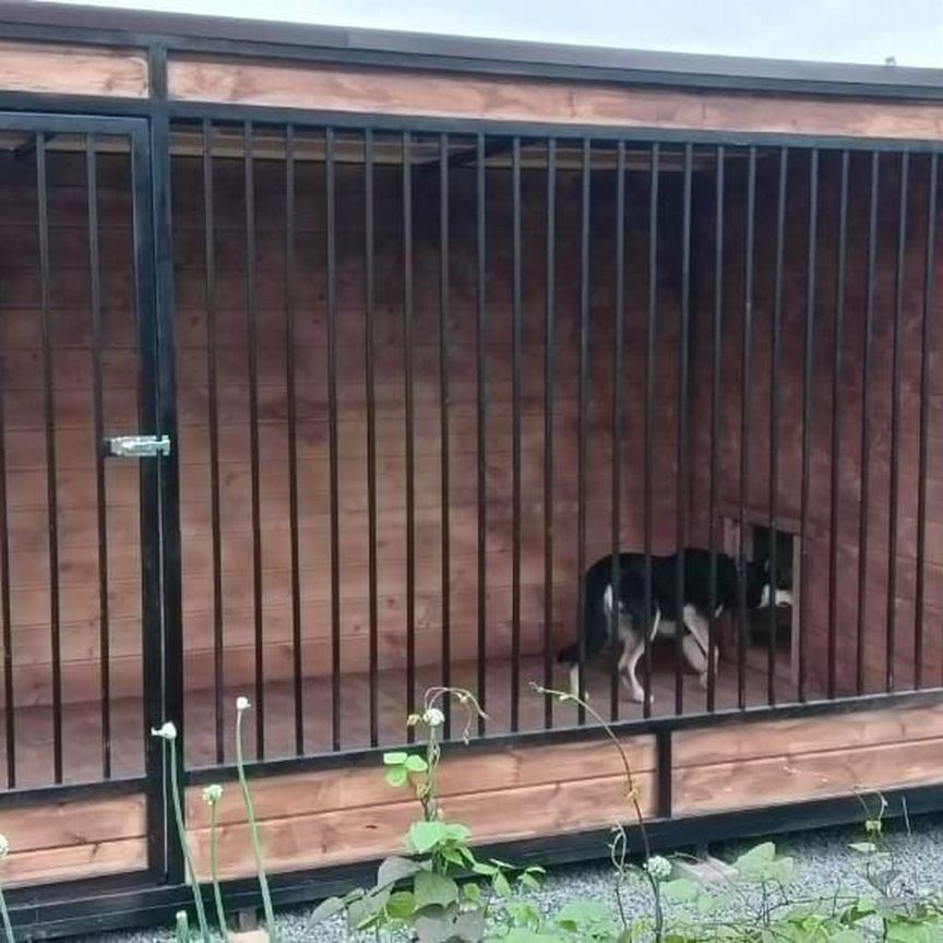 Вольер для собак