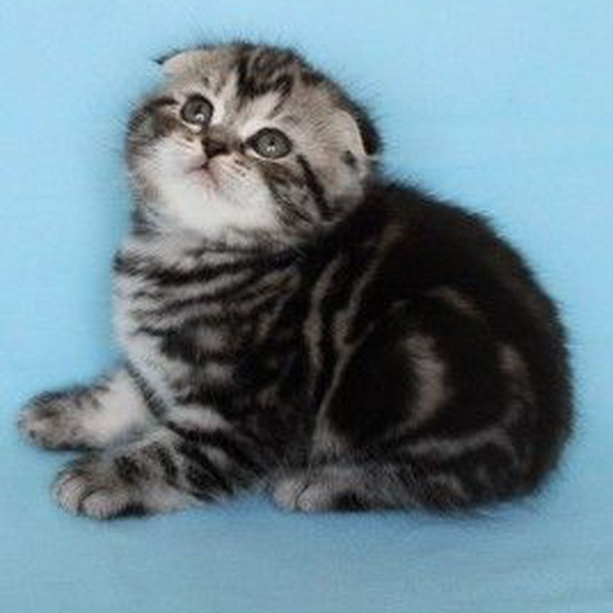 Мраморная девчушка