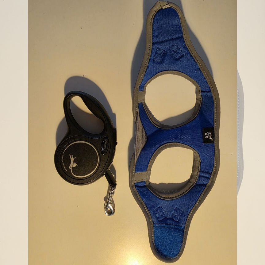 Рулетка Flexi XS и шлейка Triol