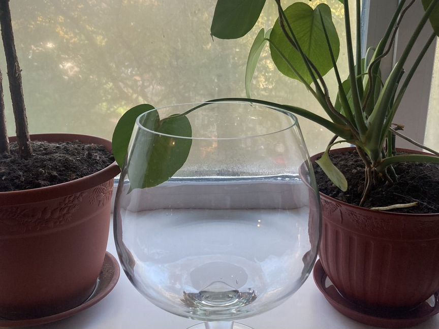 Аквариум-бокал 7л