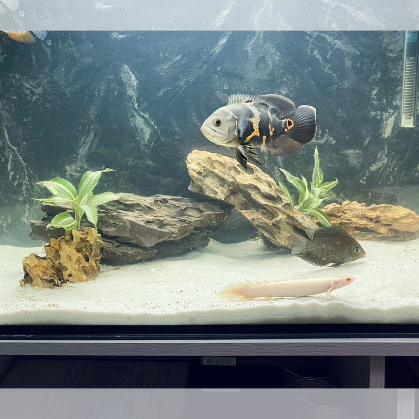 Аквариум 120л