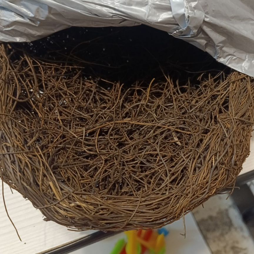 Гнездо для птиц