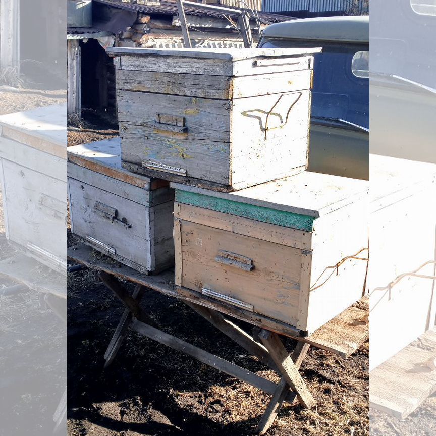 Улья для пчел