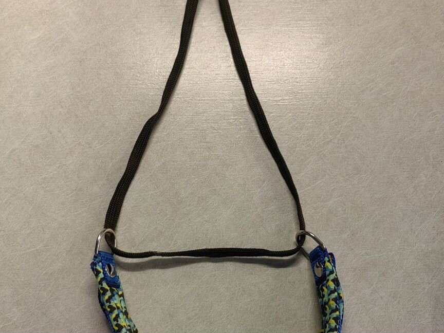 Одежда для мелких собак