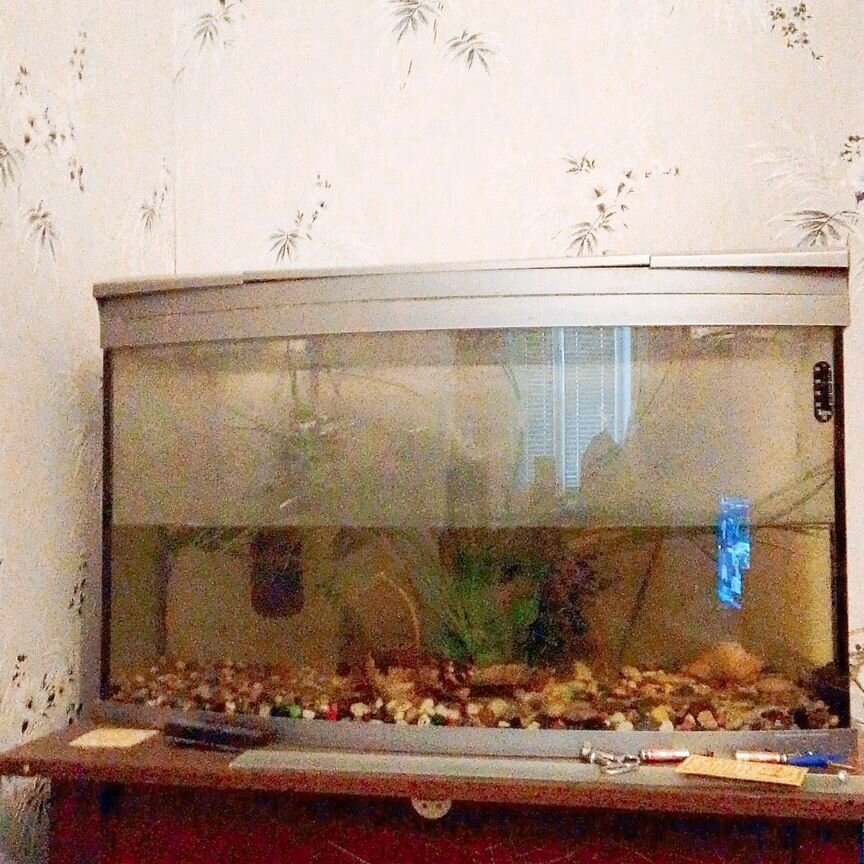 Продам аквариум