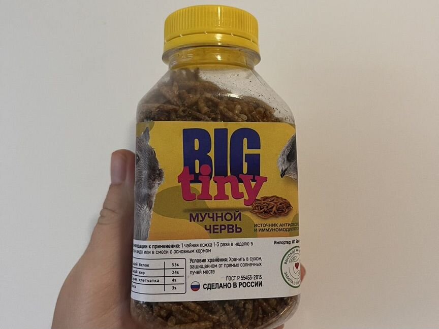 Мучной червь