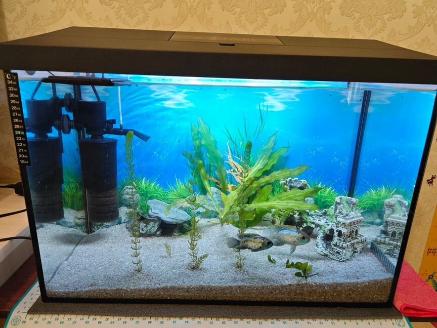 Аквариум aquael 72 л фильтр свет