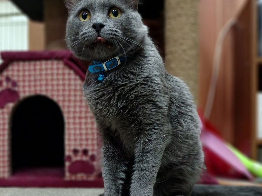 У них меньше шанса на семью