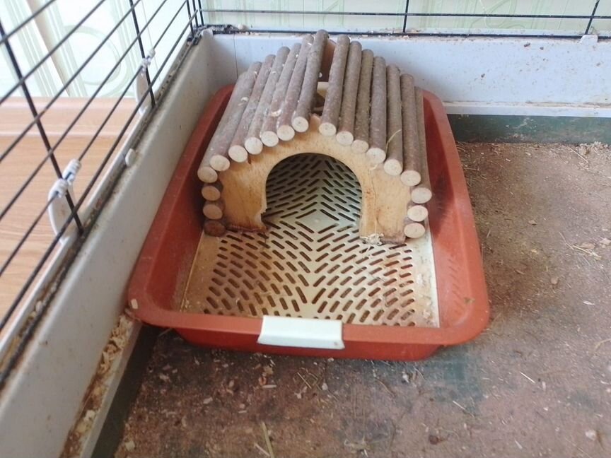 Отдам клетку для морской свинки