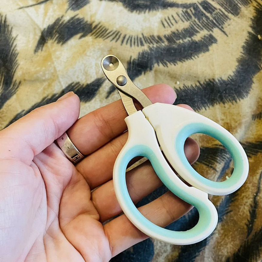 Шлейка для маленькой собаки