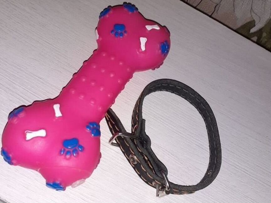 Аксессуары для собак
