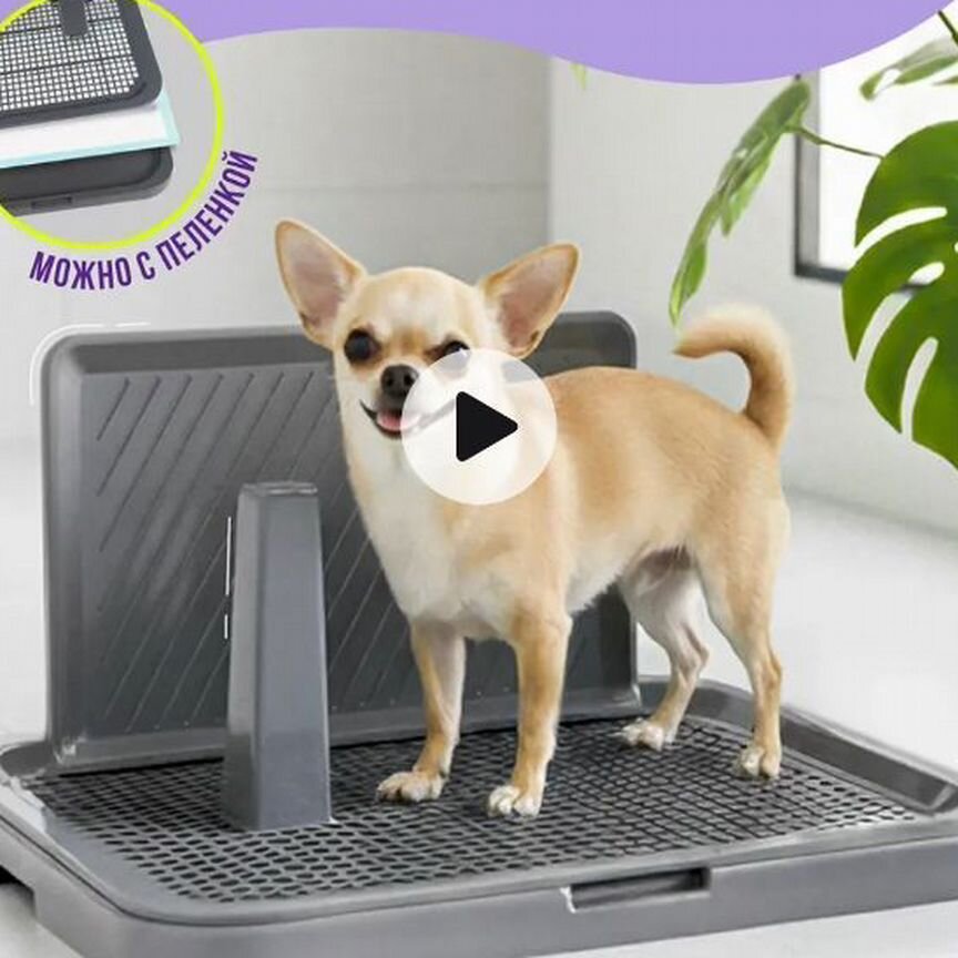 Лоток туалет для собак