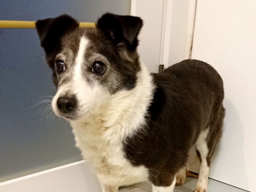 Девочка ищет и ждёт семью