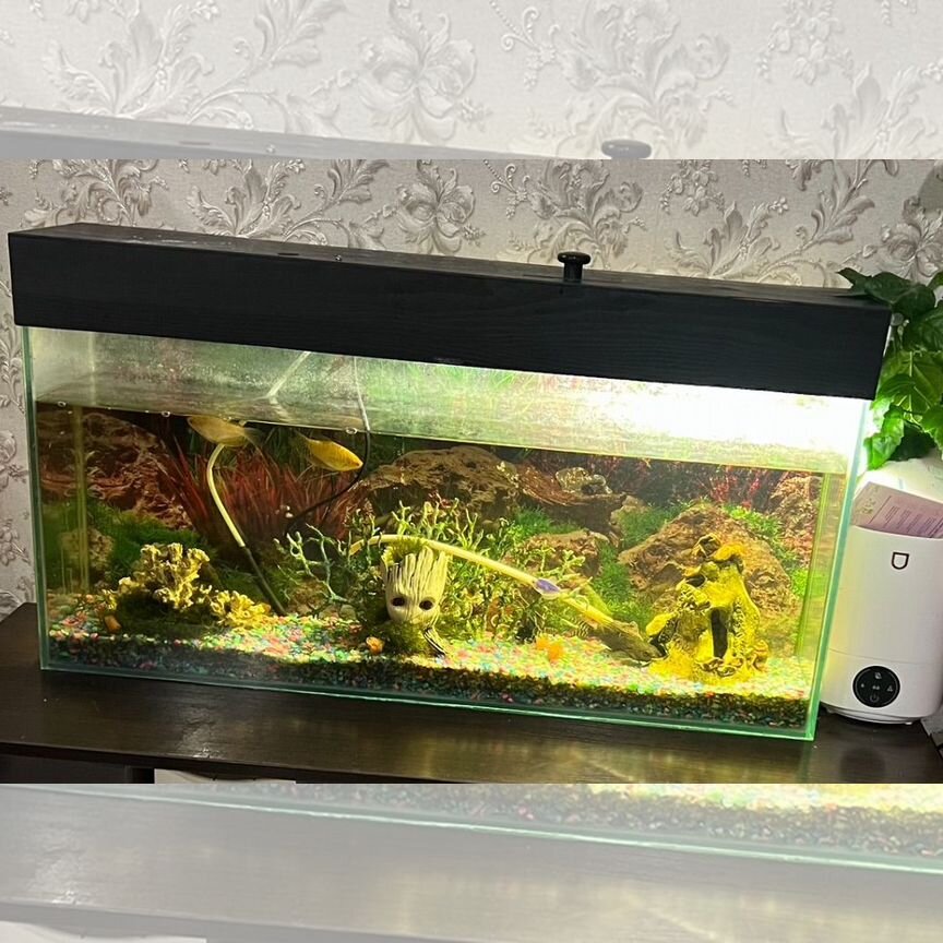 Аквариум с тумбой продаю до понедельника