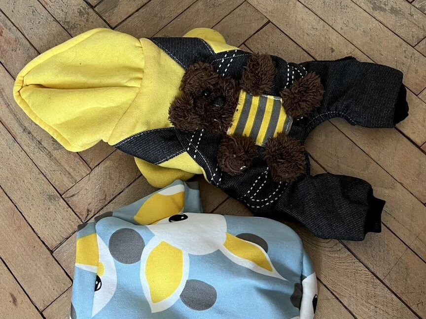 Одежда для щенка маленькой породы