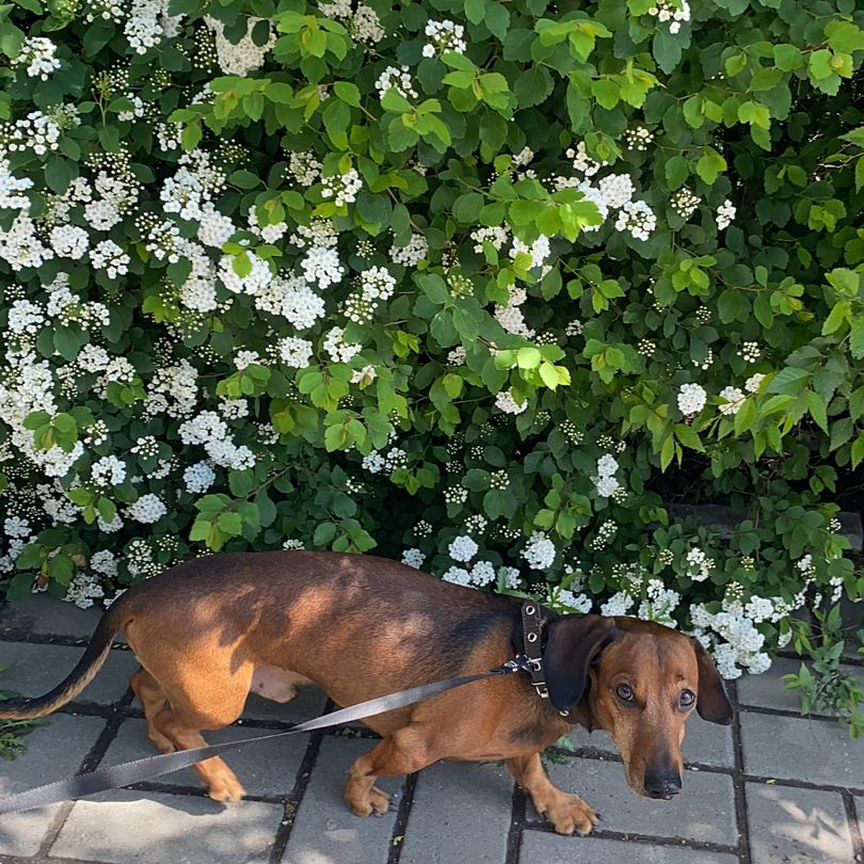 Вязка.Кабель ищет сучку