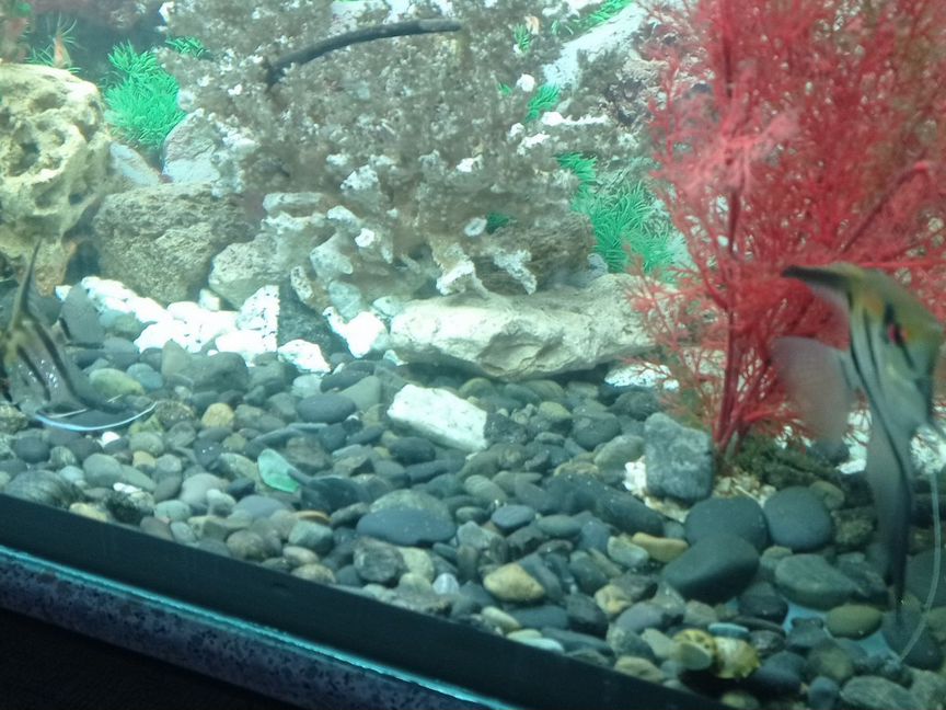 Украшение для аквариума