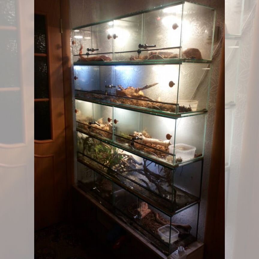 Террариумы